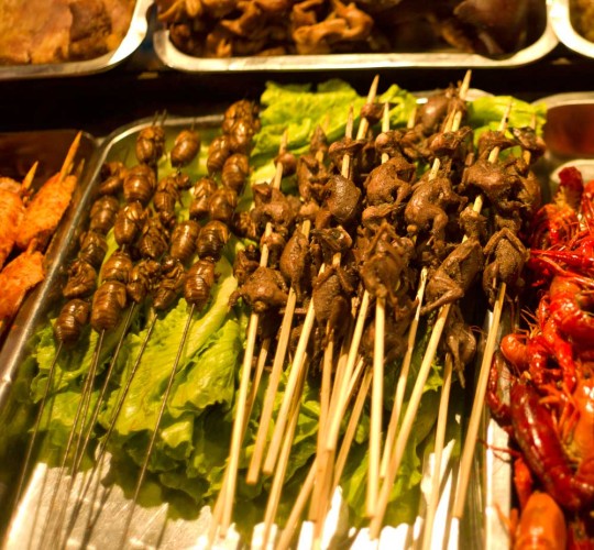 Hungry or Not - Luoyang China's Street Food - Micah B Rubin