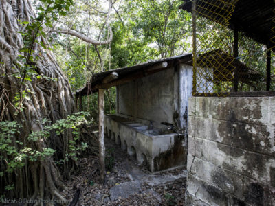 A Look Inside the Costa Rican Prison With Blood-Inked Art - Micah B Rubin