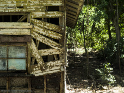 A Look Inside the Costa Rican Prison With Blood-Inked Art - Micah B Rubin